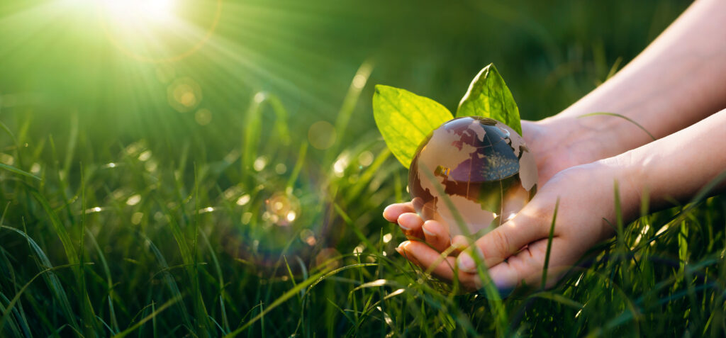 A Simple Guide to Sustainable Printing | IPS